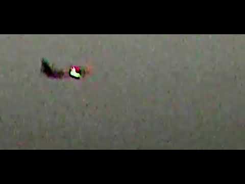 Shape Shifter TRANSFORMER - YouTube