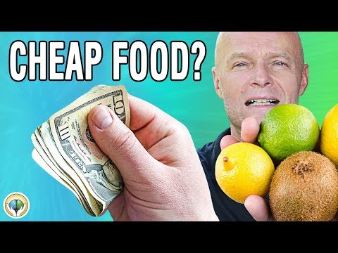 Why Is Healthy Food More Expensive In America