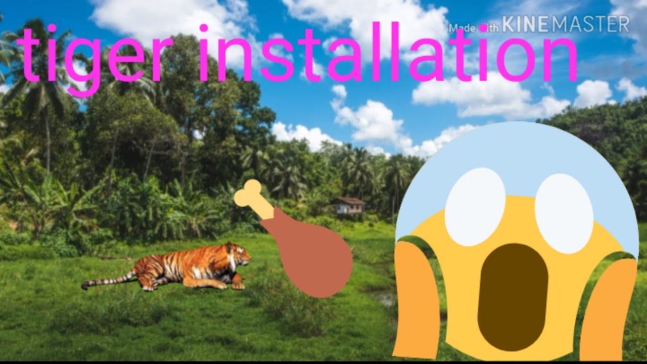 How to installation tiger - YouTube