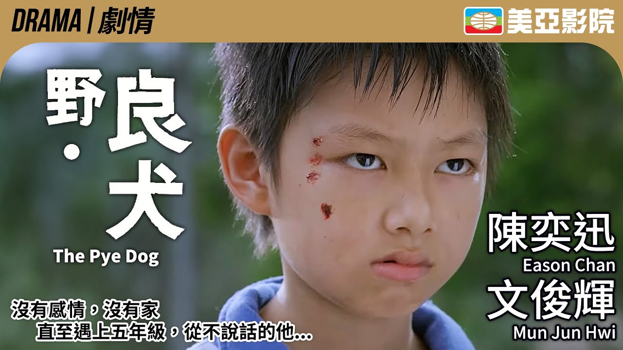 德國電影節 最佳少年電影大獎｜野良犬 (The Pye Dog)｜陳奕迅、林苑、文俊輝、曾志偉、邵音音｜粵語中字｜2007｜美亞影院 ...
