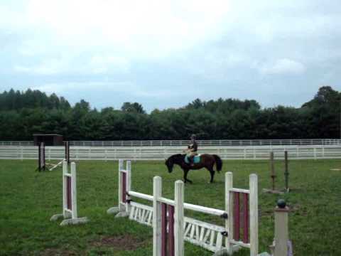 Black Jack from Split Elm - YouTube