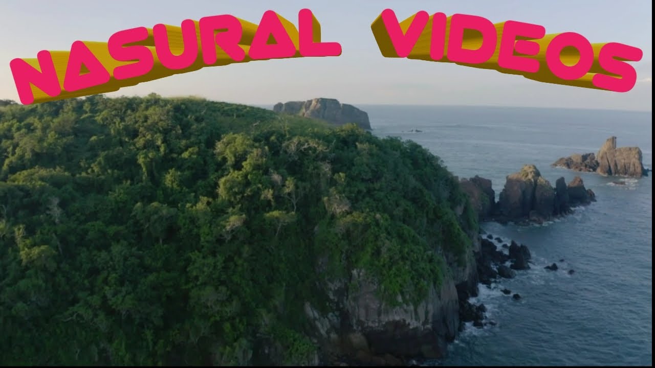 Nasural videos - YouTube