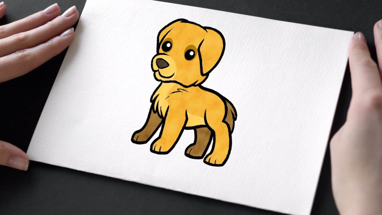 How to Draw a Golden Retriever (easy) need a pencil, felt-tip pens or ...