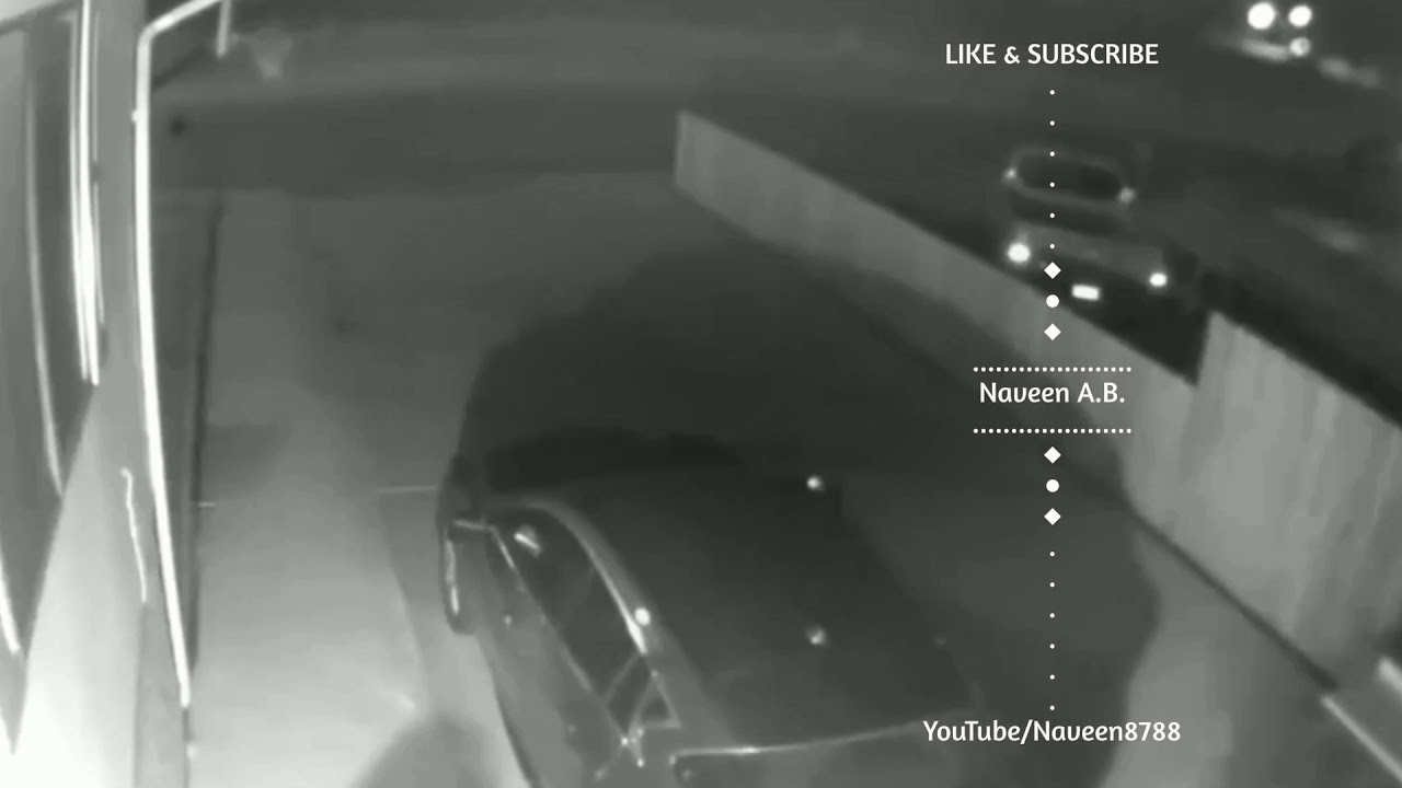 Bizarre | Creepy | Mysterious | ALIEN | Harry Potter's DOBBY Caught on ...