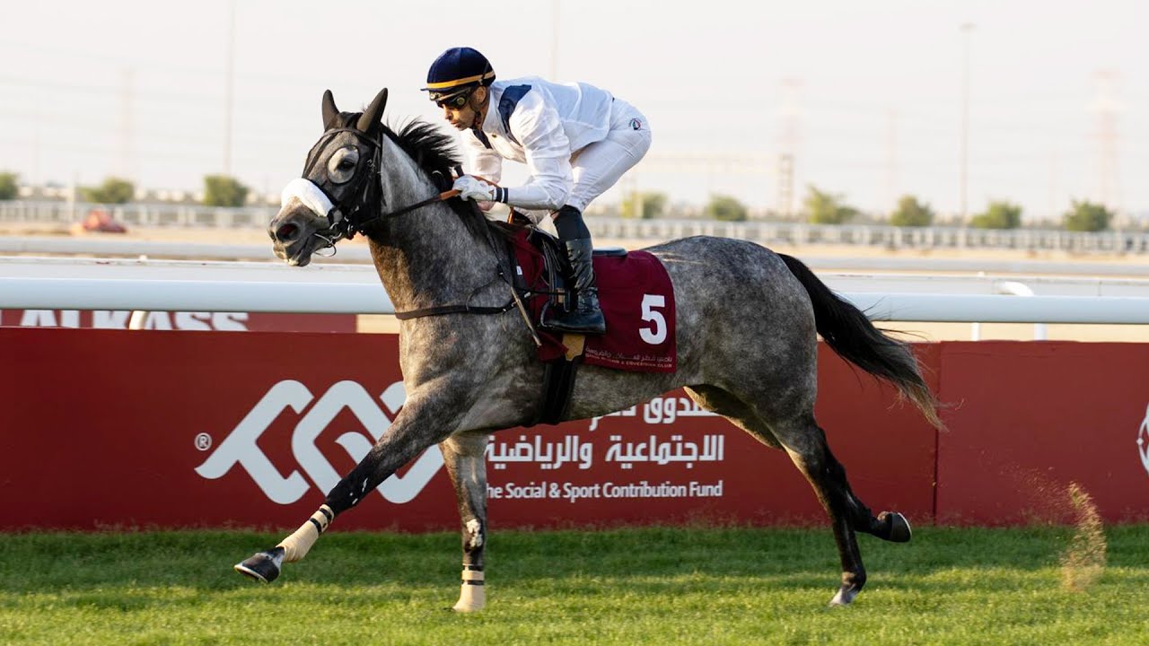 RM 16 Al Rayyan Race 3 - Trails Day - YouTube