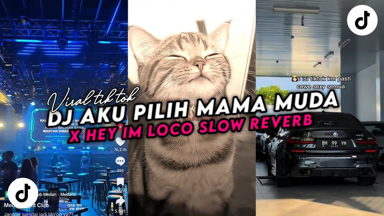 DJ AKU PILIH MAMA MUDA X HEY IM LOCO VIRAL TIK TOK | YANG KALIAN CARI ...