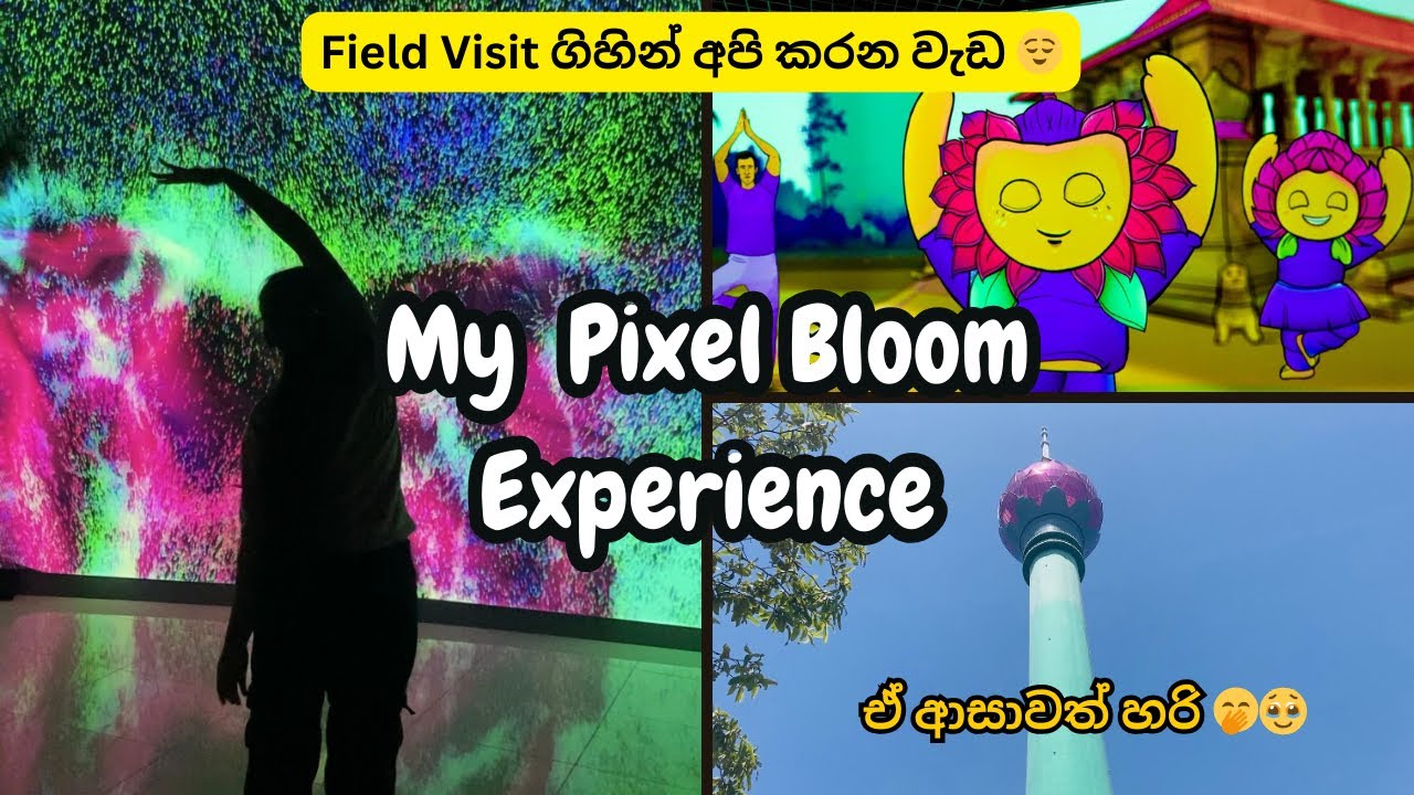මගේ Pixel Bloom experience එක 🪄😍| Field Visit ගිහින් අපි කරන වැඩ🤭 | Lotus Tower | A Day In My ...