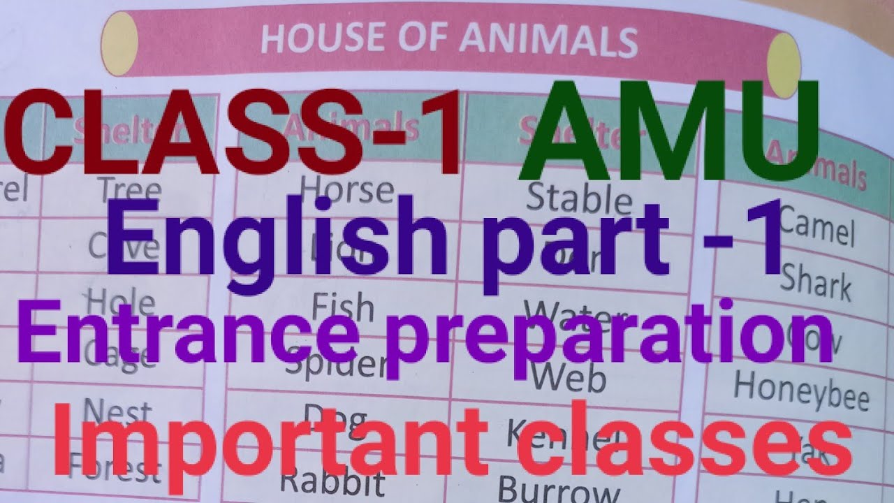 AMU/CLASS-1(English part -1) important classes entrance preparation ...