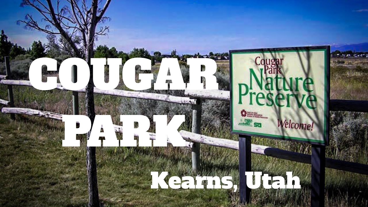 DJI Mavic Air / Cougar Park Nature Preserve, Kearns , Utah - YouTube