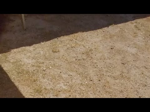 Thursday Gig - YouTube