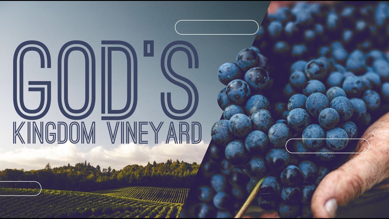 GOD’S KINGDOM VINEYARD - YouTube