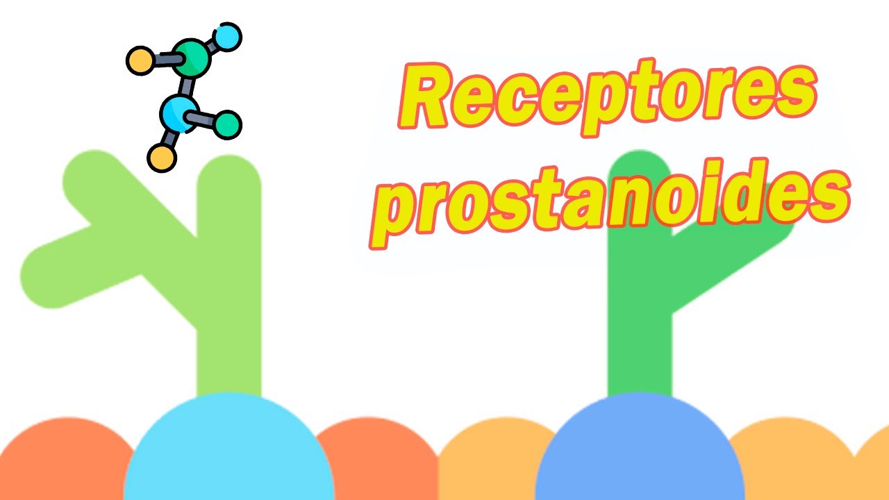 Quais os receptores dos prostanoides e quais os efeitos? - YouTube