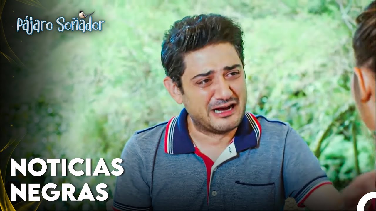 Muzaffer Se Entera De Que Sanem Está Prometida - Pájaro Soñador ...