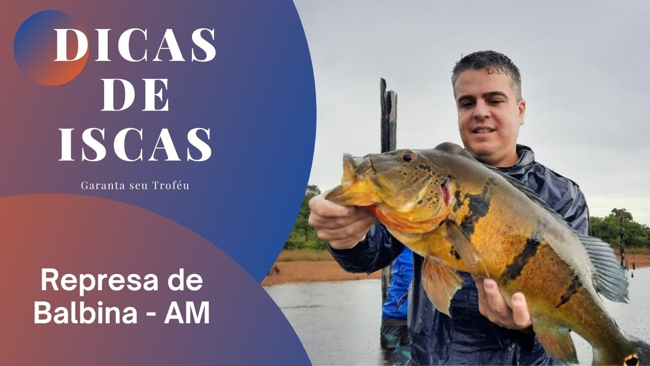 Dicas de Isca Artificial para Pescaria em Balbina - Amazonas - YouTube