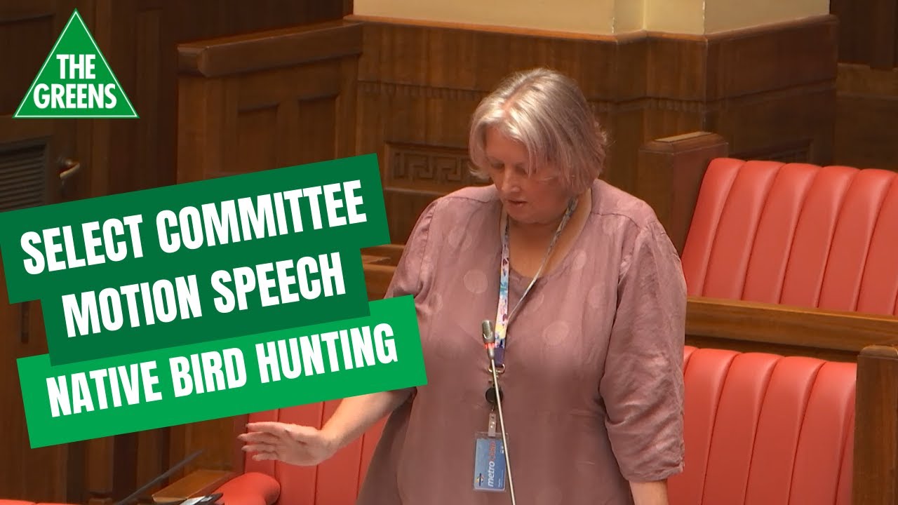 NATIVE BIRD HUNTING SELECT COMMITTEE MOTION SPEECH - YouTube
