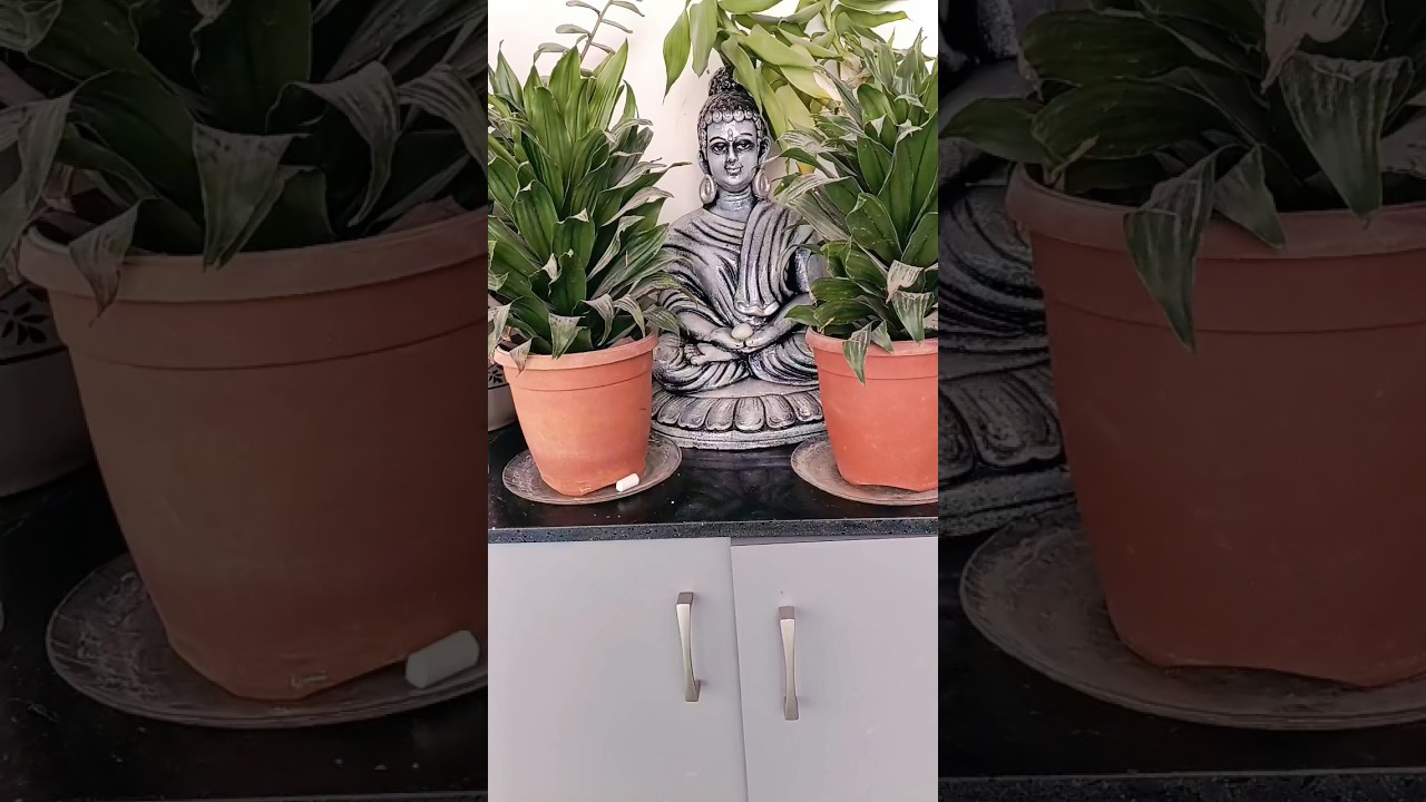 Jai Shree Ram 🙏🥰 - YouTube