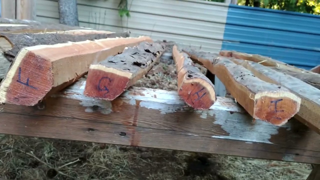 Yew Staves Oct 20 '22 - YouTube