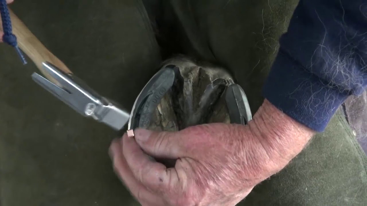 Kerckhaert Classic Roller and Liberty Cu Hybrid Nails - YouTube