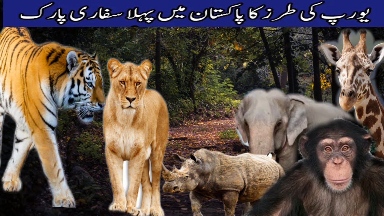 Lahore Safari Park|Zoo Vlog|Amazing Place For Picnic Point|Pakistan ...