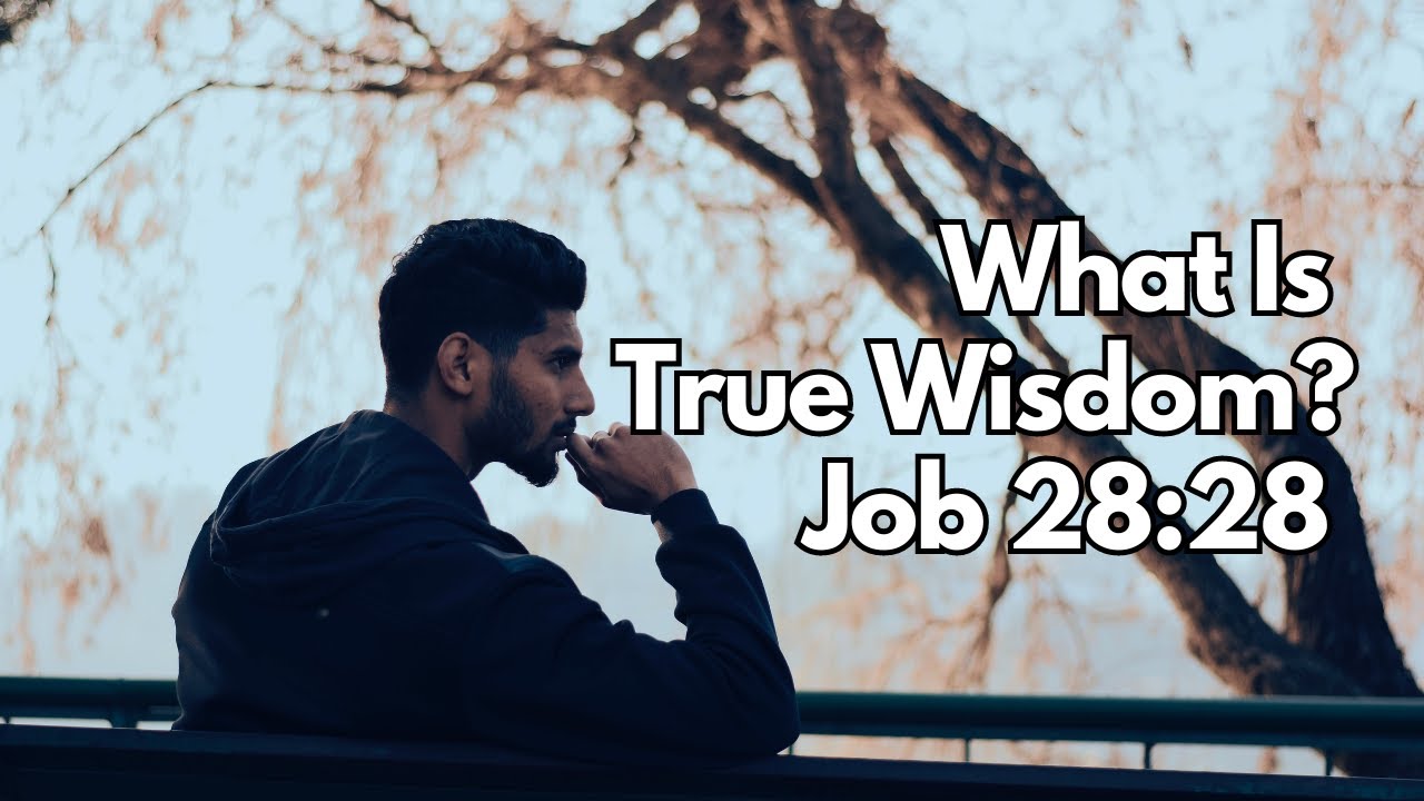 What Is True Wisdom? | Job 28:28 | Daily Devotion | Daily Bible Verse ...
