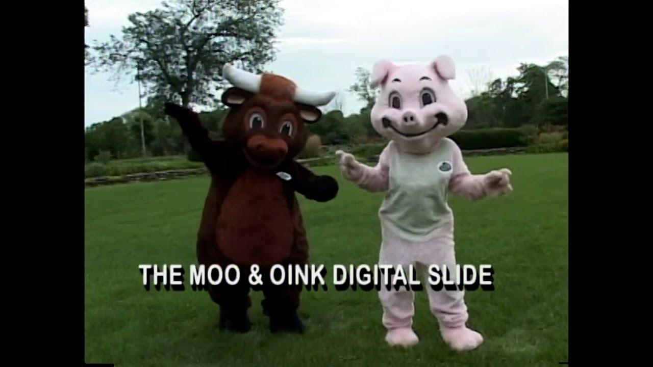Moo & Oink Presents: The Digital Slide - YouTube