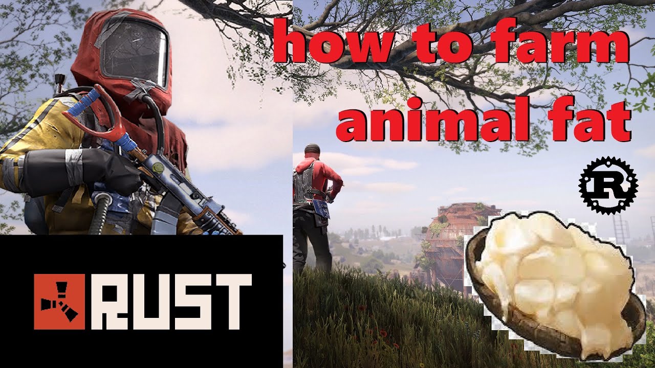 rust tutorial how to farm animal fat - YouTube