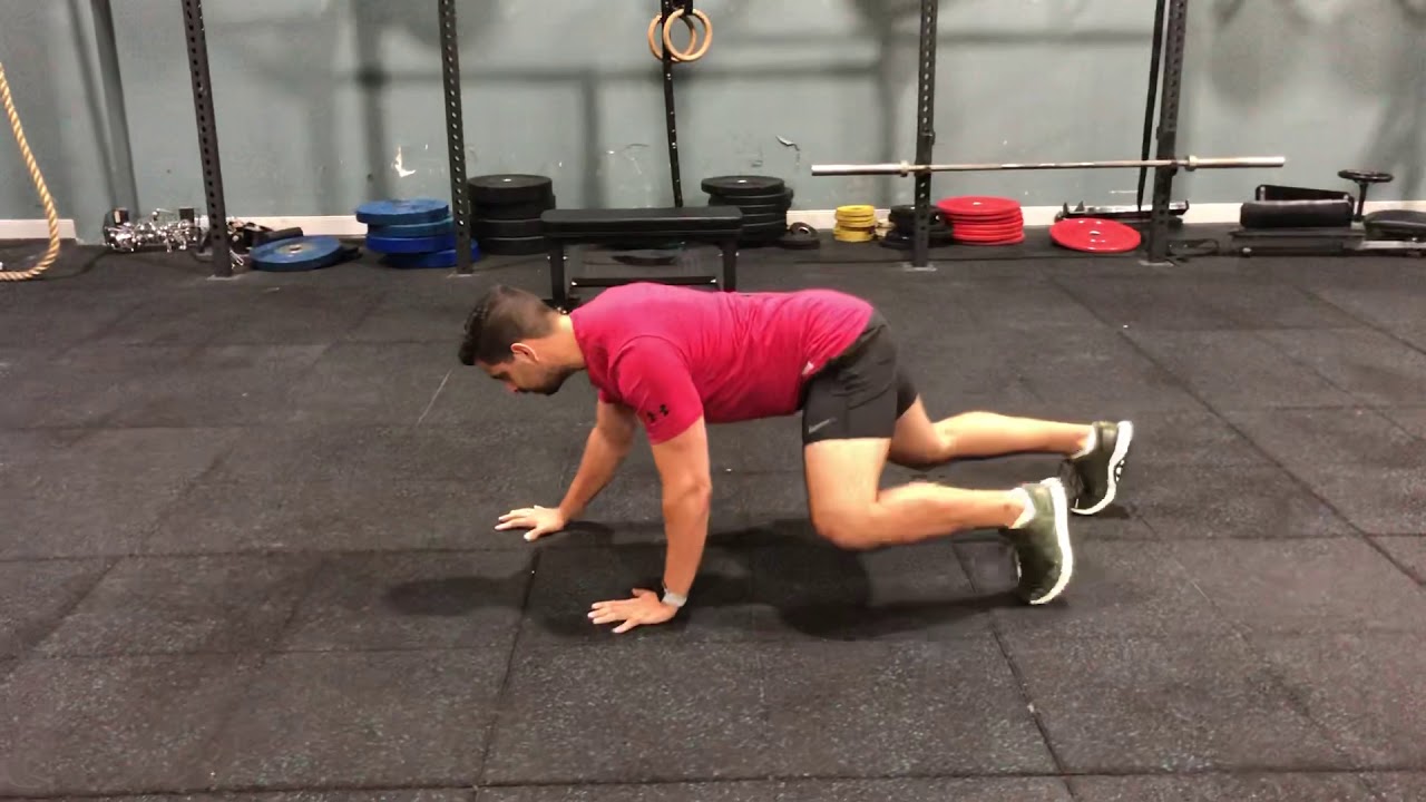 Quadruped Walk - YouTube