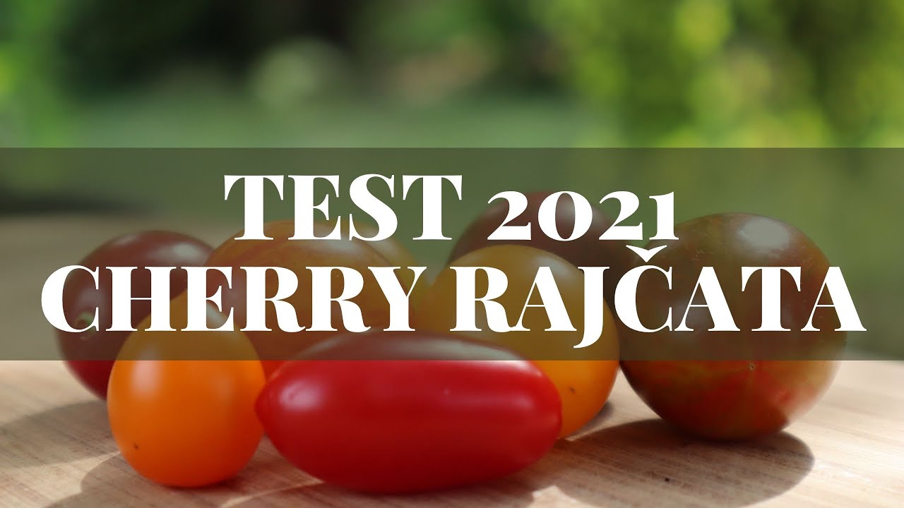 Test Cherry rajčat sezóny 2021 - YouTube
