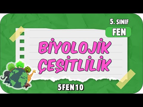 Biyolojik Çeşitlilik 📗 5. Sınıf Fen #2024