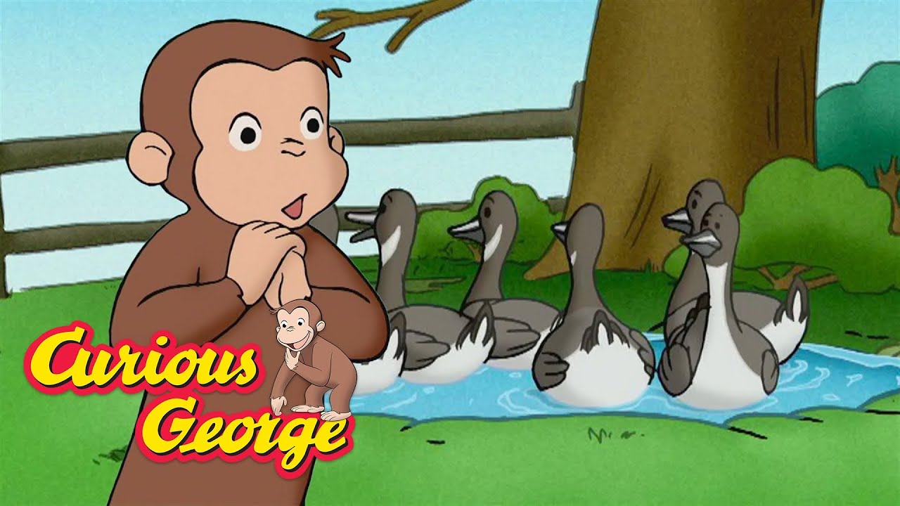 George Loves Ducks! 🐵 Curious George 🐵 Kids Cartoon 🐵 Kids Movies - YouTube