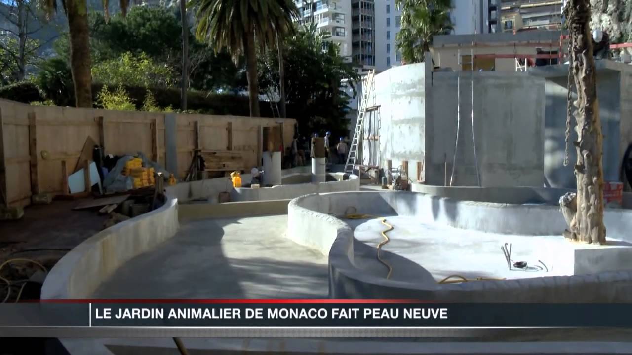 Le Jardin Animalier de Monaco fait peau neuve - YouTube