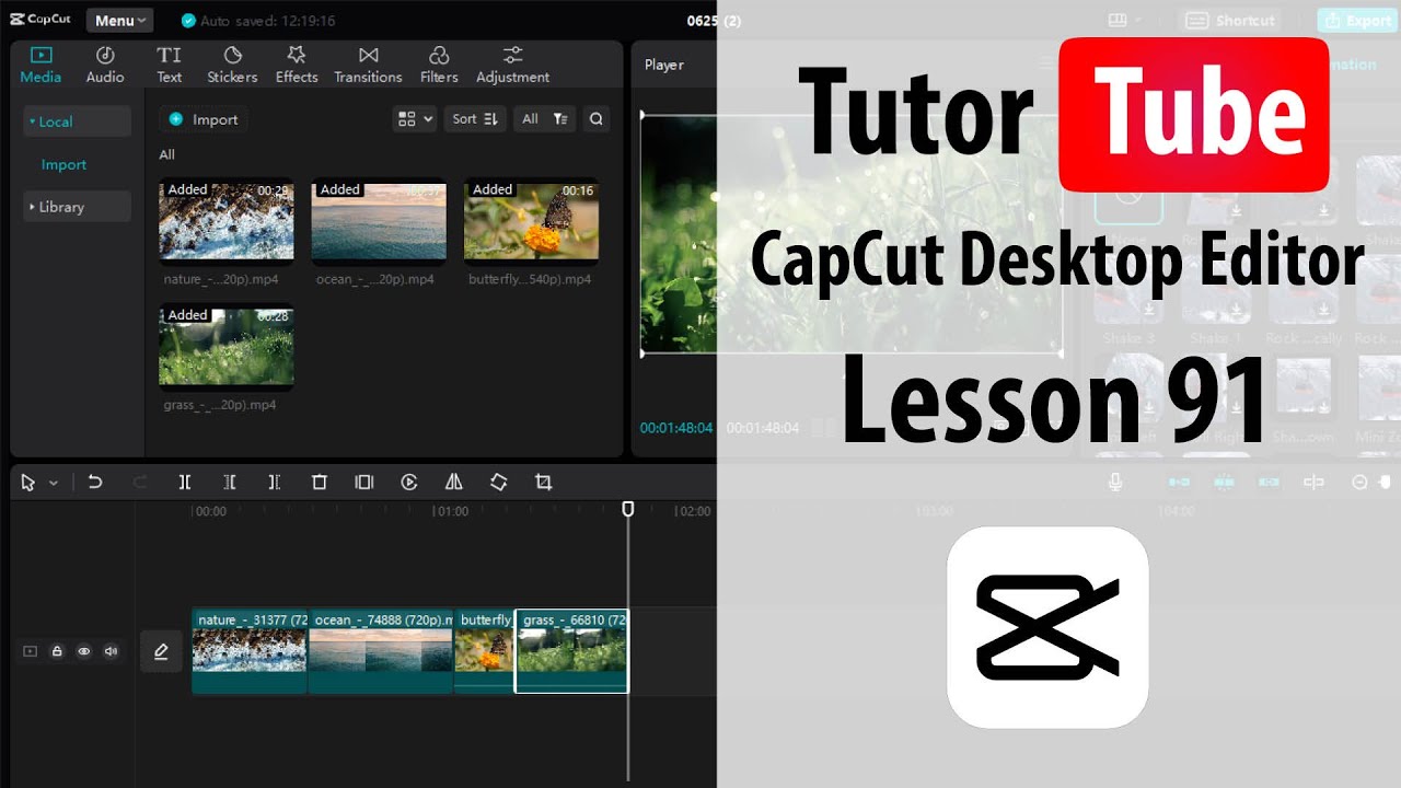 CapCut Desktop Editor - Lesson 91 - Importing and Using LUTs - YouTube