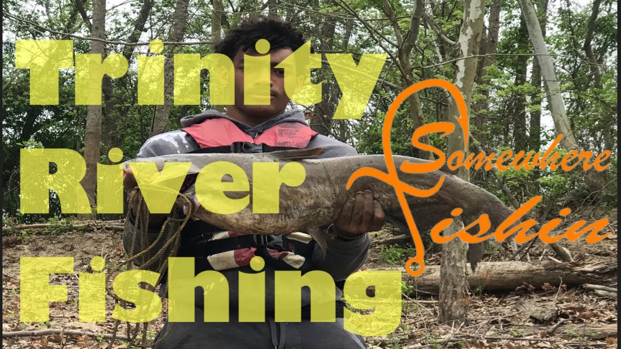 Just A Simple Catfishing Video: Bank Poles (2023) - YouTube