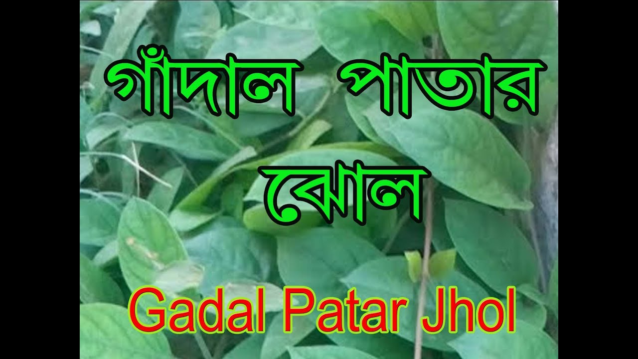 গাঁদাল পাতার ঝোল #Gadal patar jhol (Healthy- bengali recipe) - YouTube