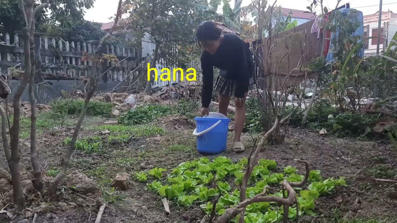 Single Mom #Hana watering vegetables and cooking (Hana Story) - YouTube