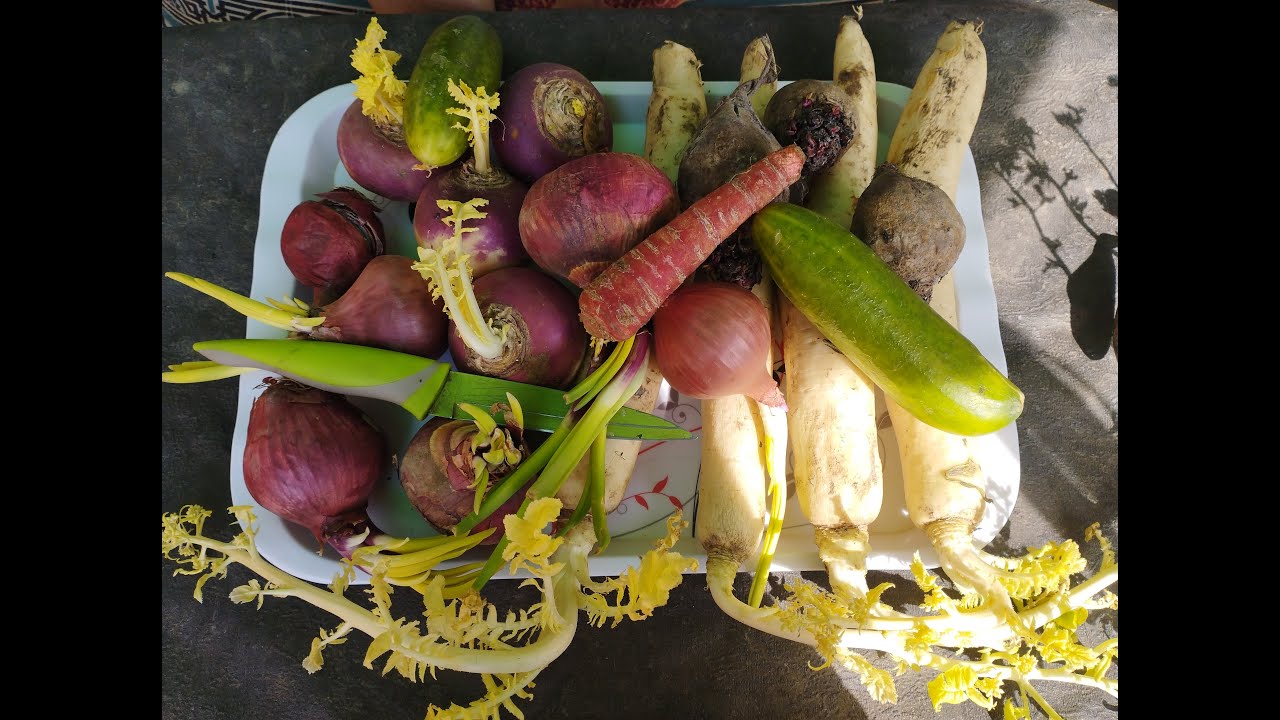 How to grow vegetables at home without seeds / Vegetables to grow in ...