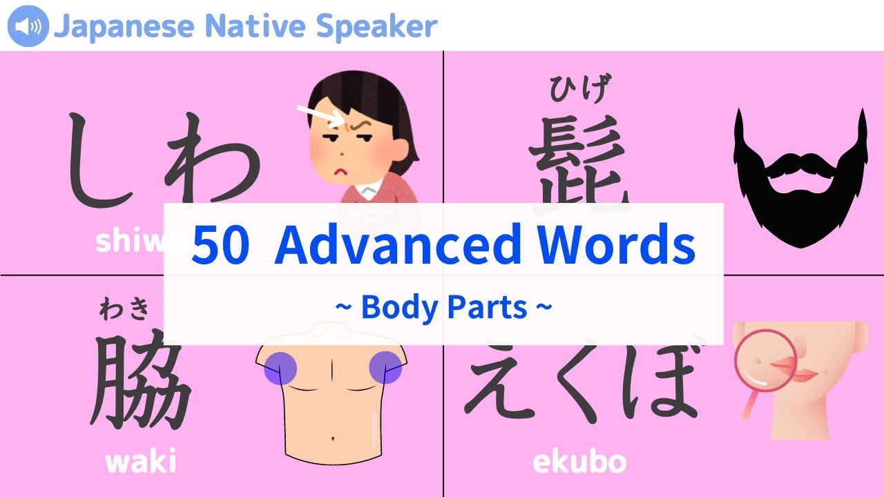 【Body Parts】Advanced Edition: 50 Japanese Words to Master Japanese ...