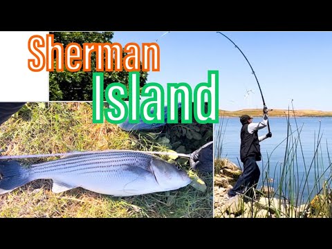Sherman Island - YouTube