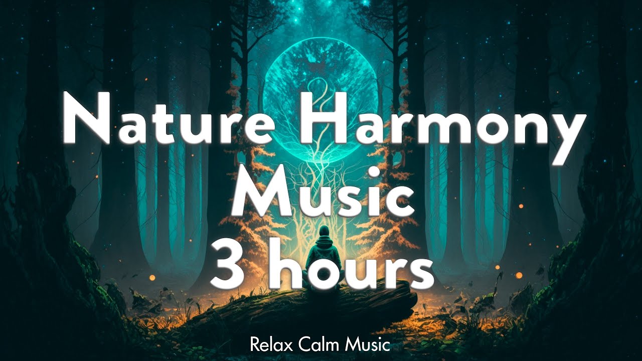 Time to Recharge Your Mind: Experience 3 Hours of Nature Harmony Music ...