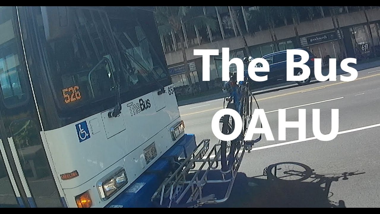 Taking The Bus in Oahu, Hawaii | The Cheapest Way to Travel in Hawaii ...