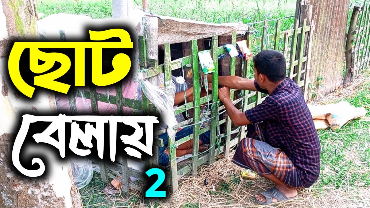 ছোট বেলার কাহিনী 2 Bangla Funny Video Haisa Bacina #HaisaBacina - YouTube