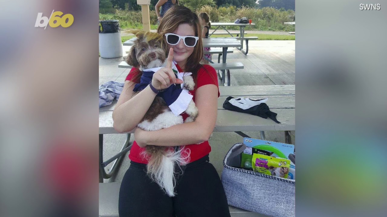 POTUS Pooch Wins Doggy Costume Contest Dressed as Trump - YouTube