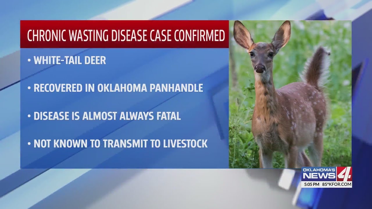 Chronic Wasting Disease case confirmed - YouTube