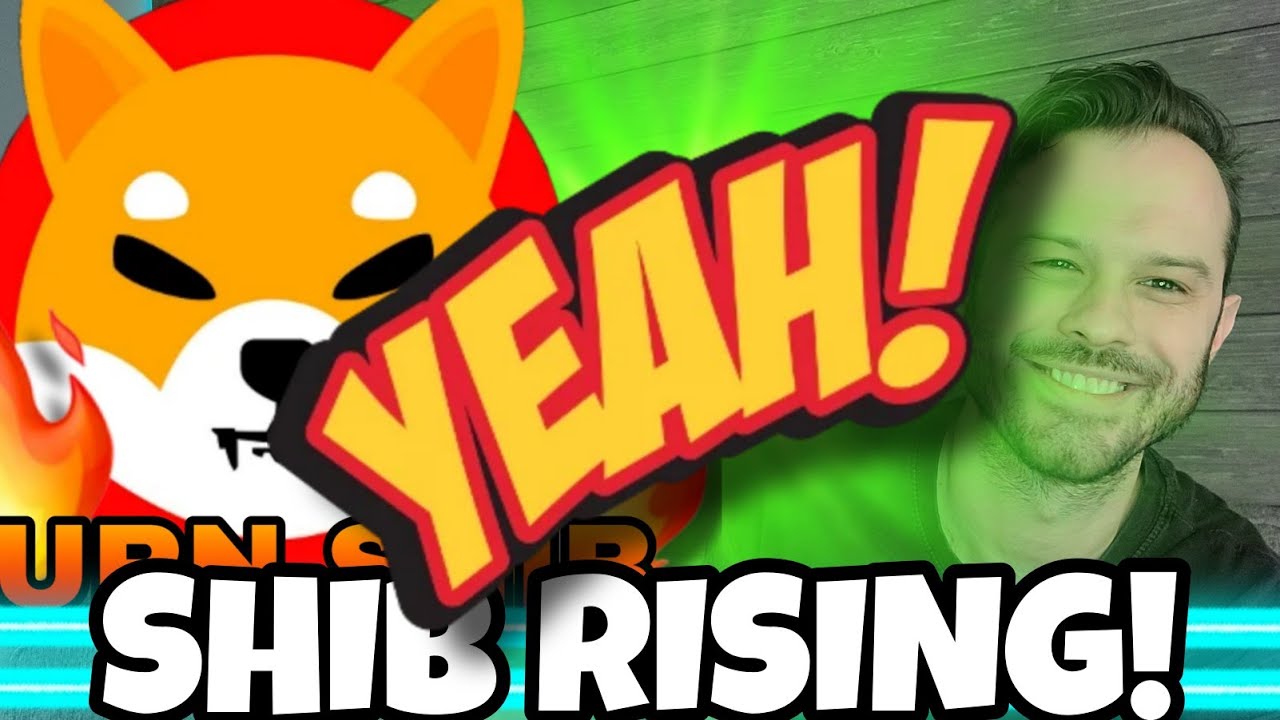 Shiba Inu Coin | SHIB Looks Great Despite Treat Leaving SHIB Behind ...