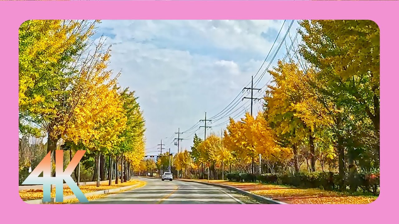 Driving Downtown City 4K - Driving City Dolby Vision HDR - YouTube