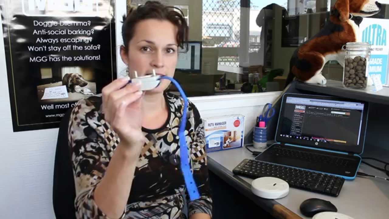MGG Indoor Dog Manager - YouTube