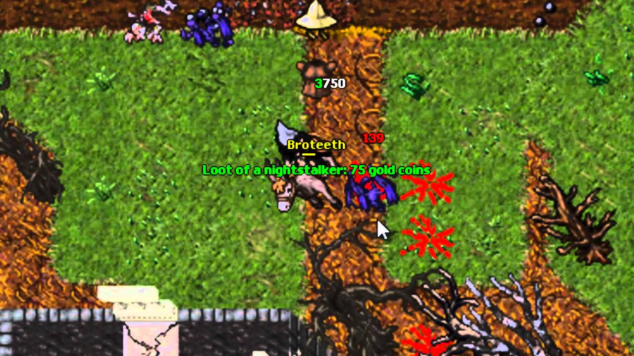 Tibia Hunt Episode 14 - Yalahar Zombies - YouTube