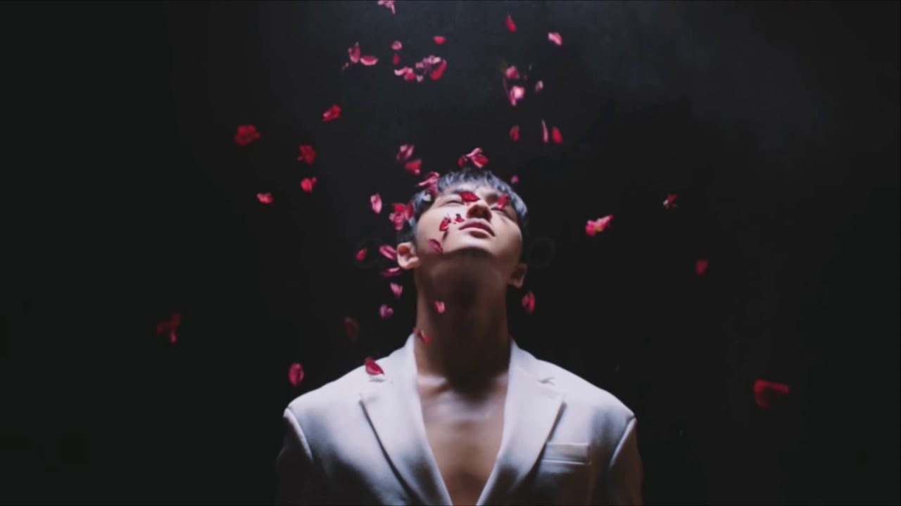 SEVENTEEN - Fallin' Flower (Sub. Español) - YouTube