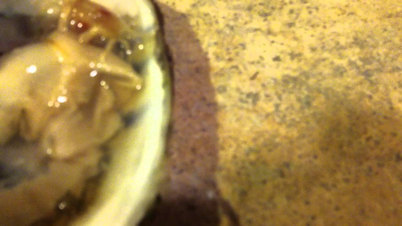 Chincoteague Sea Monster Found in Oyster..Cryptid?? - YouTube