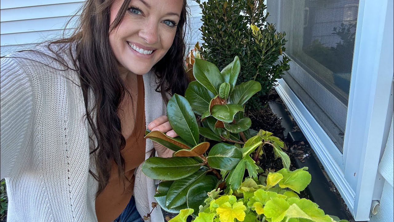 Planting a Window Box for Winter ️ 🌱 // Full Shade Window Box Planting ...